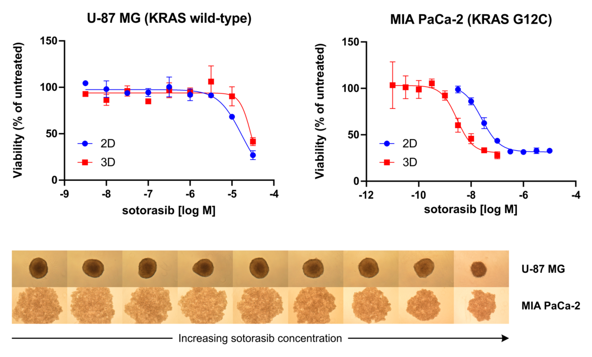 Case study: Altered drug response in 3D spheroids - Oncolines B.V.