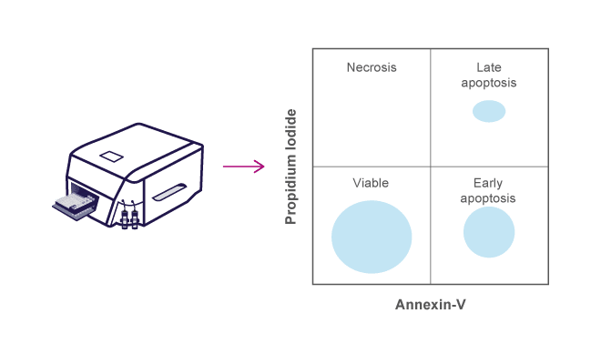 Functional cell-based assays - Oncolines B.V.