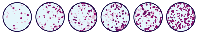 Functional cell-based assays - Oncolines B.V.