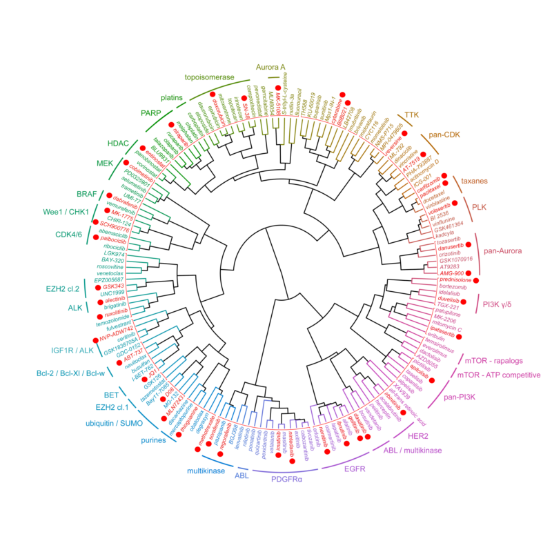 Synergy Explained | Oncolines B.V.