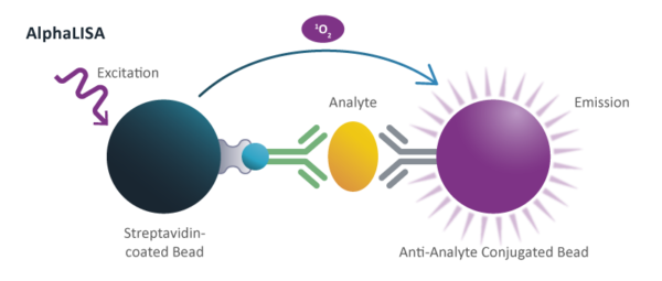 Cell-Based Functional Assays | Oncolines B.V.