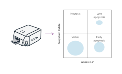 Cell-Based Functional Assays | Oncolines B.V.