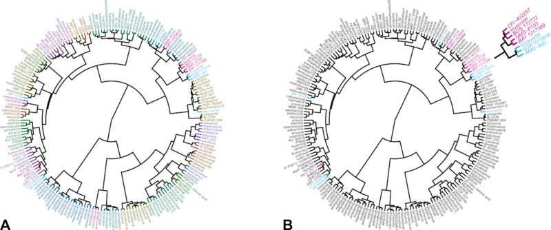 Case study – Target identification via Oncolines® profiling and ...
