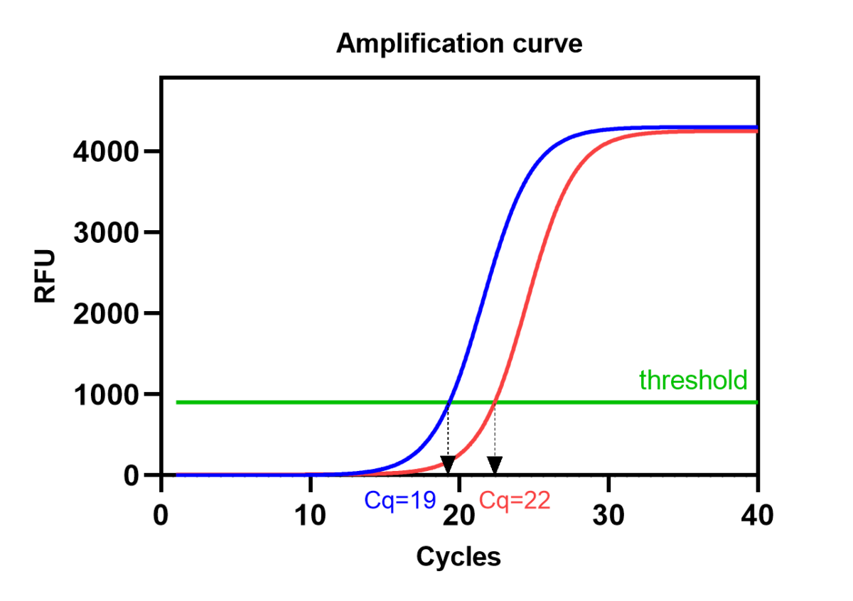 Quantitative Polymerase Chain Reaction (qPCR) | Oncolines B.V.
