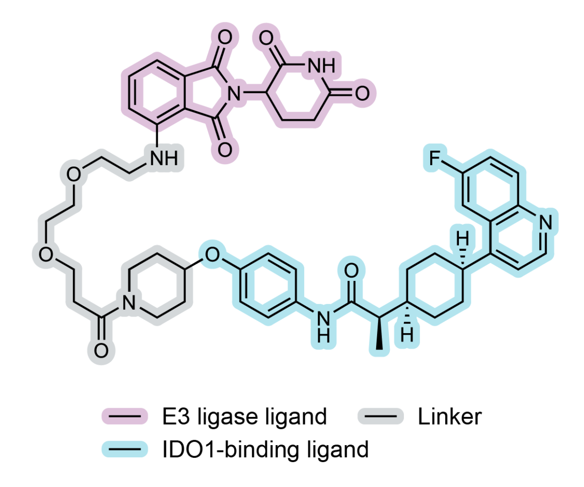 Case study – PROTAC-induced degradation of cancer immunotherapy target ...
